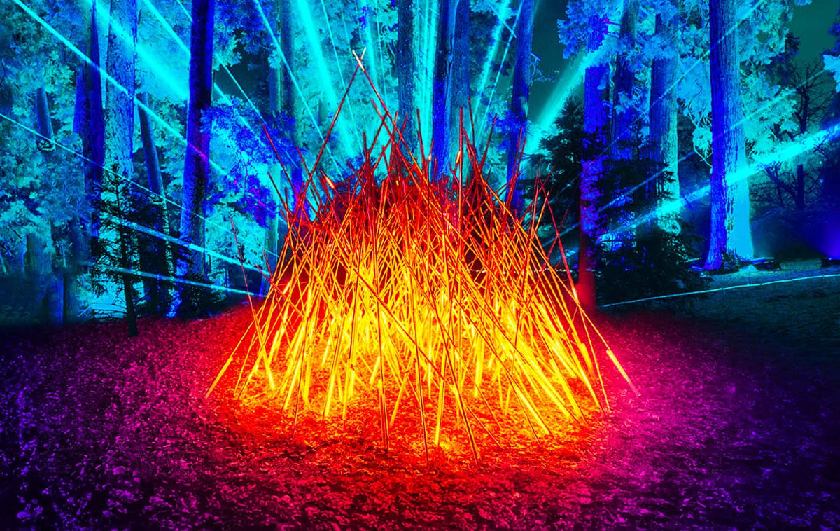 “Trame di Luce” illumina l’Orto Botanico di Roma: la mostra fino al 6 ...